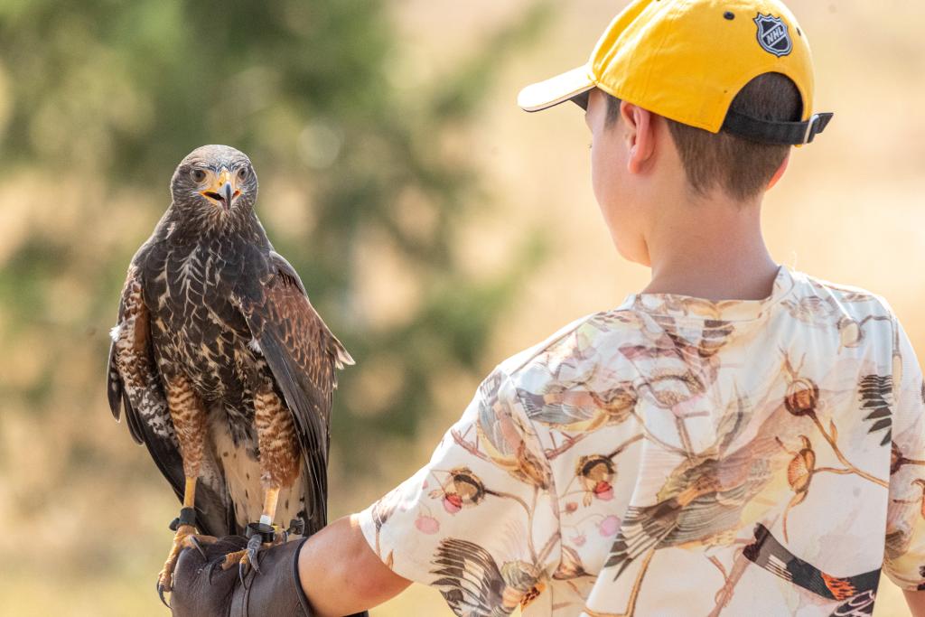 Family Favourites | Tourism Vernon