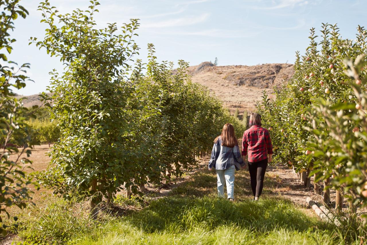 Farms & Orchards | Tourism Vernon