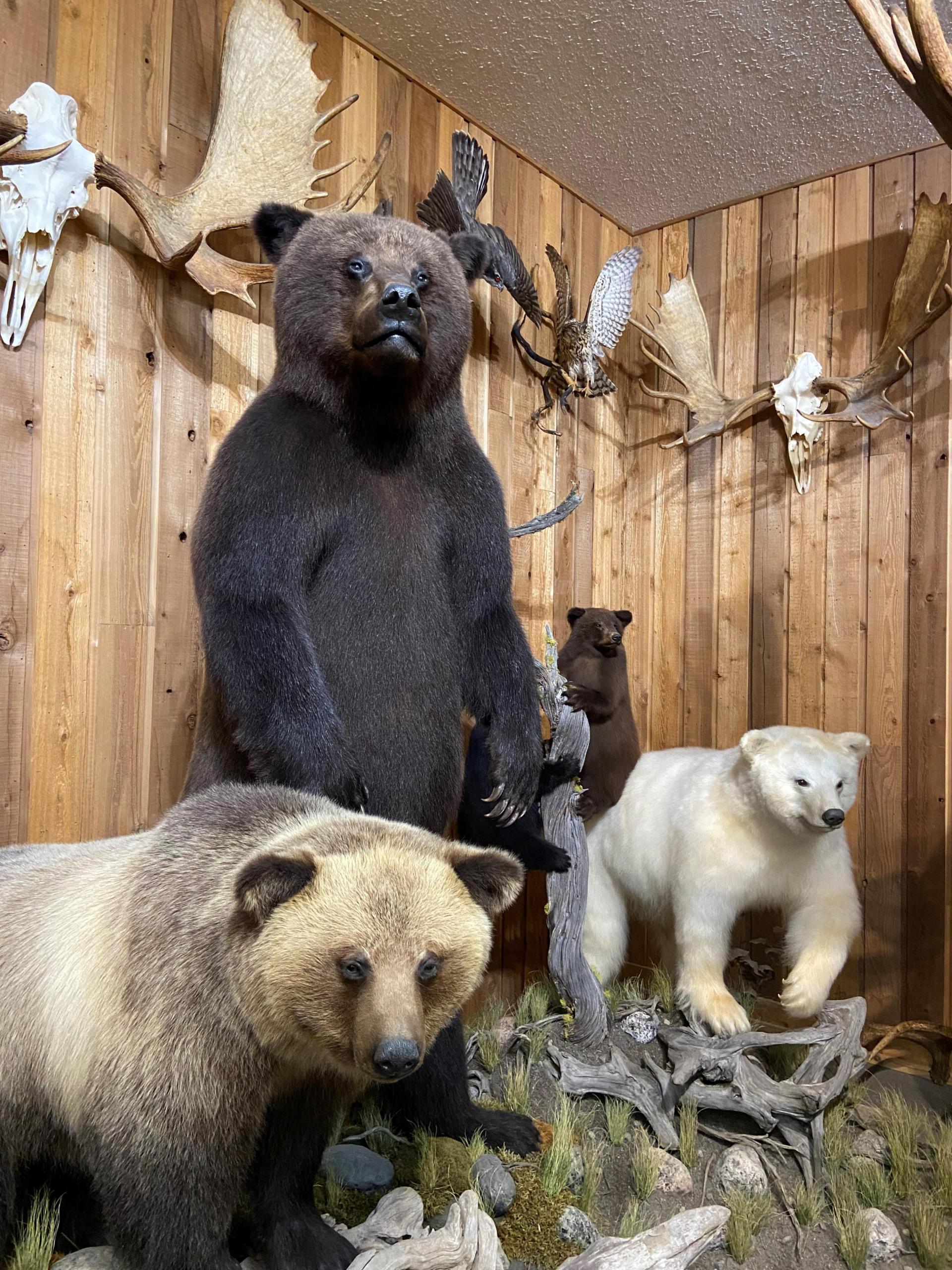 Museums & Galleries | Tourism Vernon