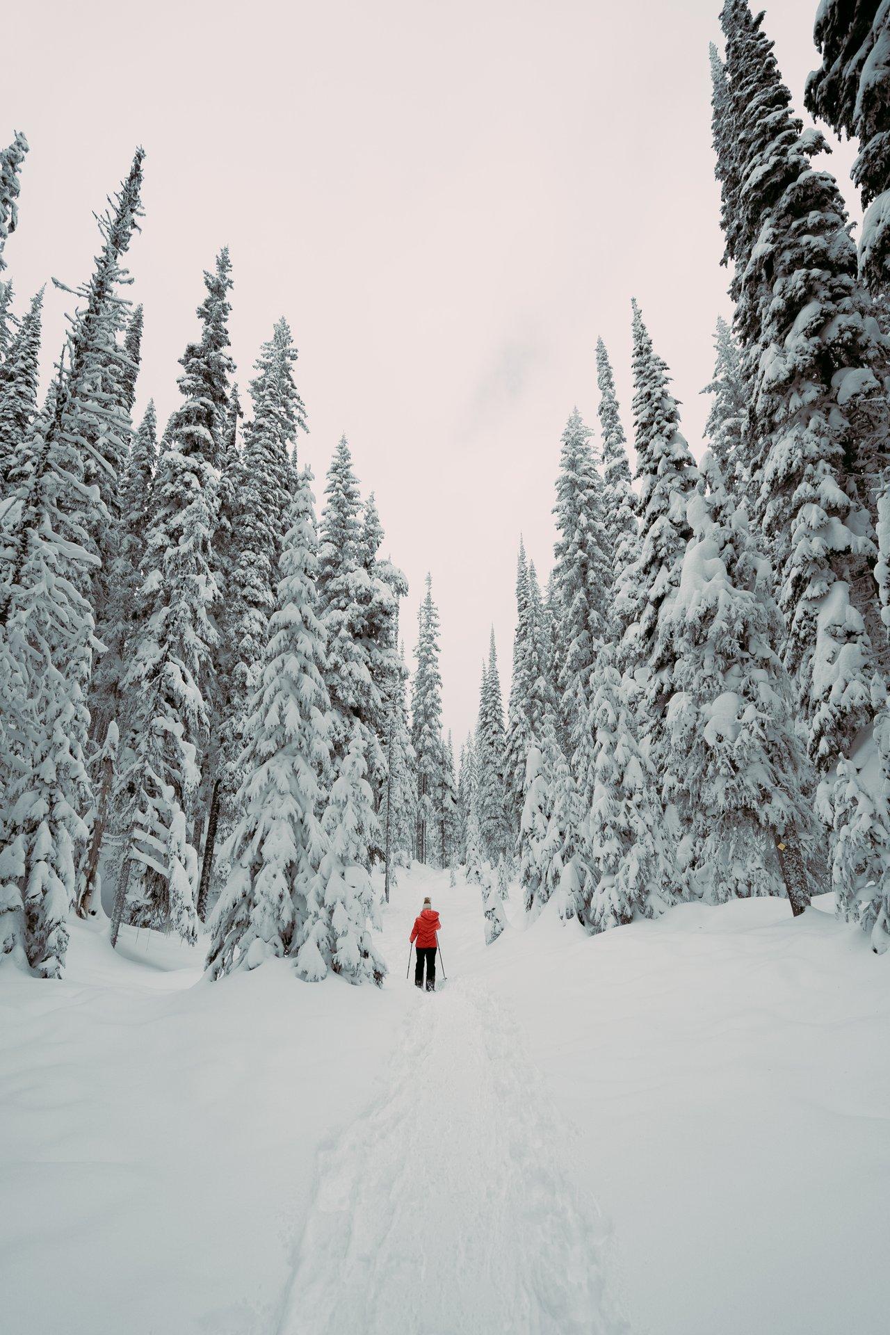 Vernon BC Trip Planner | Official Tourism Vernon Website