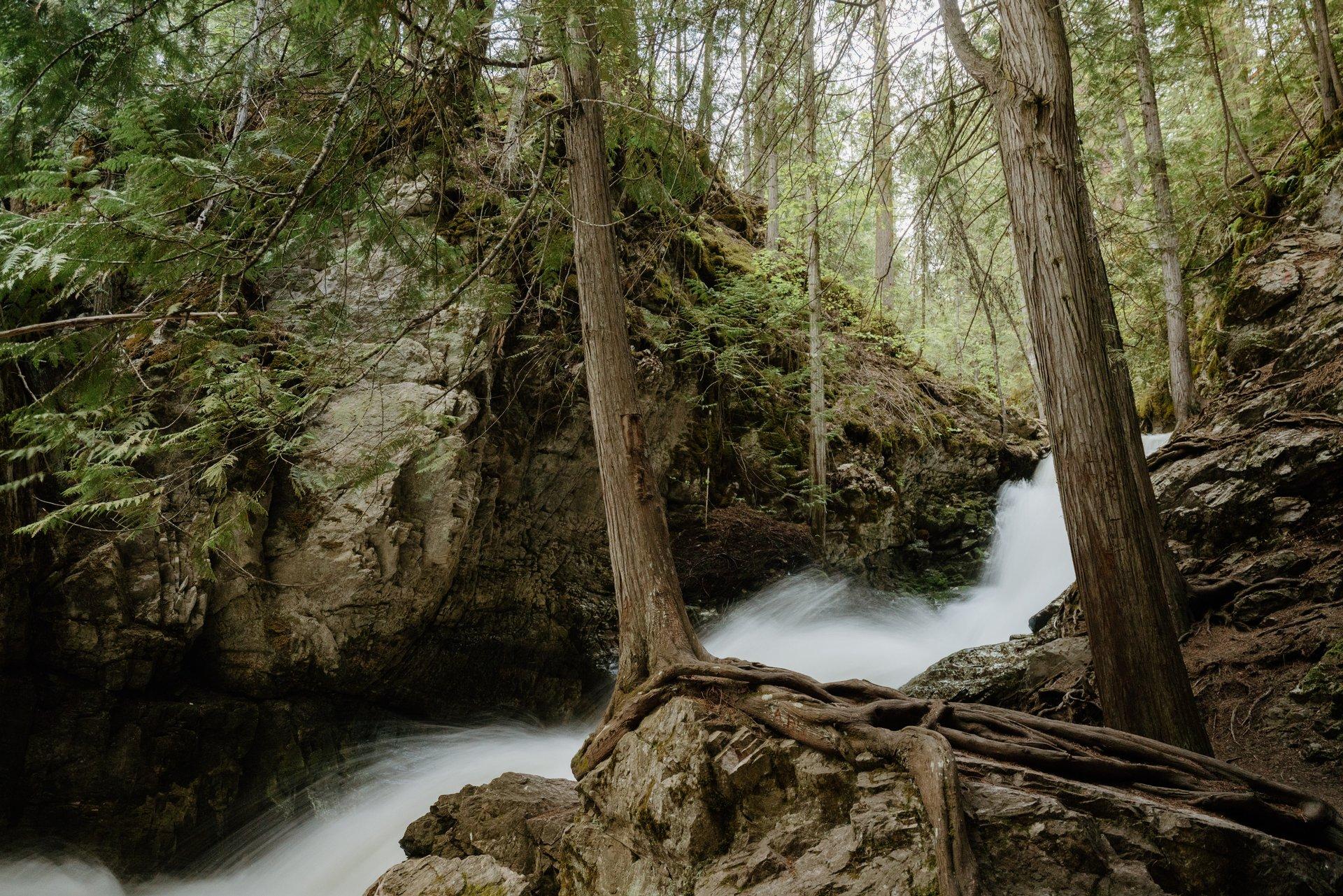 Vernon is in Bloom: 7 Ways to Welcome Spring | Tourism Vernon